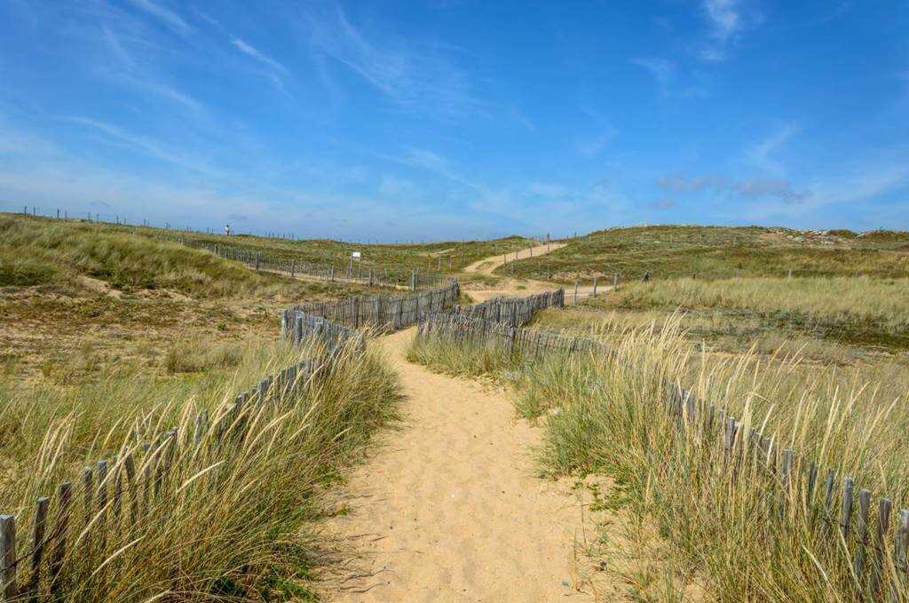 Natuurwandeling: Ontdekking van de duinen van Erdeven à ERDEVEN